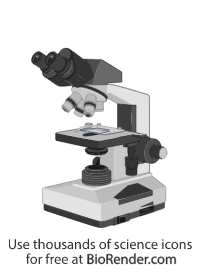 Free Binocular light microscope (with slide) Icons, Symbols & Images ...