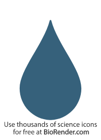 Free Water drop (symbol) Icons, Symbols & Images | BioRender