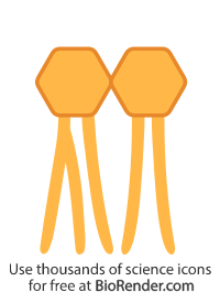 Free Liposome Icons, Symbols & Images | BioRender