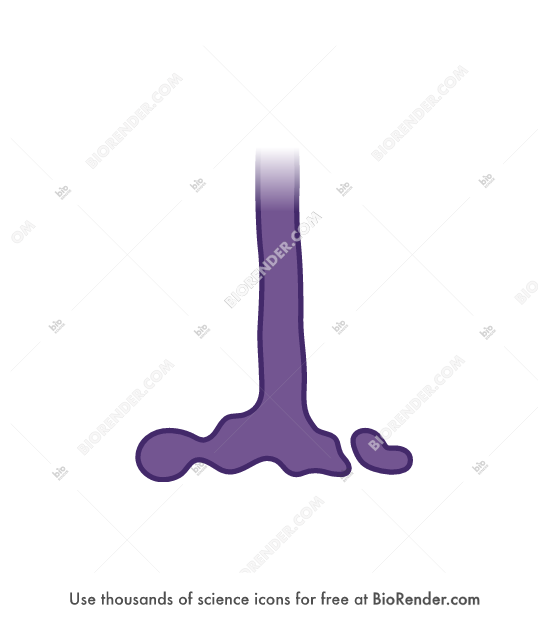 Free Astrocyte (end foot process 1, dying 2) Icons, Symbols & Images ...