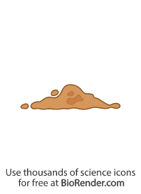Free Fibroblast (resting) Icons, Symbols & Images | BioRender
