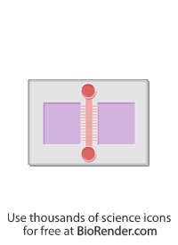 Free Microfluidic device (dual chamber) Icons, Symbols & Images | BioRender