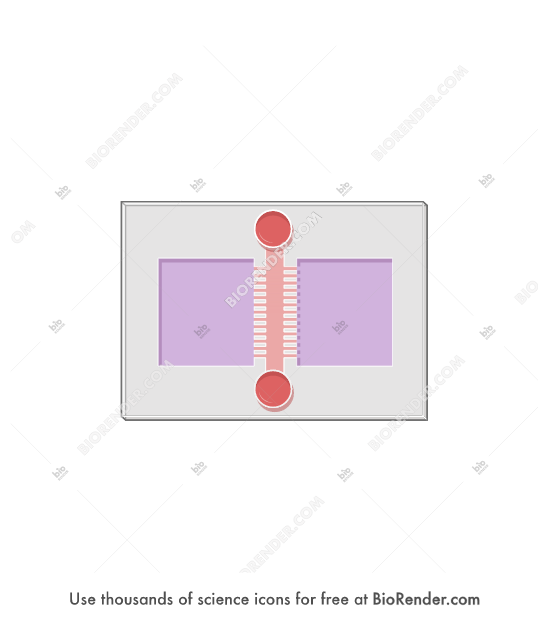 Free Microfluidic device (dual chamber) Icons, Symbols & Images | BioRender