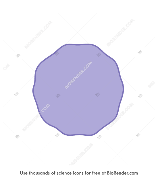 Free Cell shape 9 Icons, Symbols & Images | BioRender
