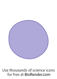 Free Cell shape 8 Icons, Symbols & Images | BioRender