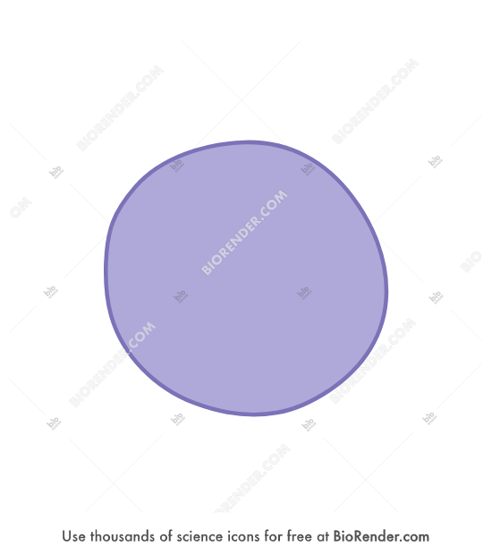 Free Cell shape 8 Icons, Symbols & Images | BioRender