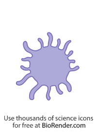 Free Cell shape 6 Icons, Symbols & Images | BioRender