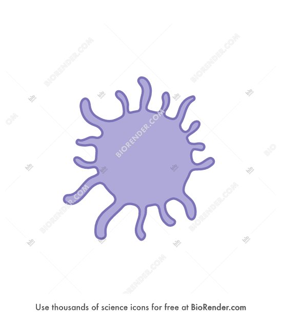 Free Cell shape 6 Icons, Symbols & Images | BioRender