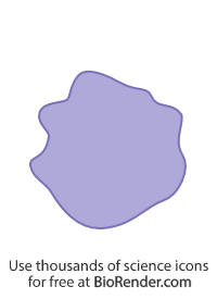 Free Generic Cells Icons, Symbols & Images | BioRender