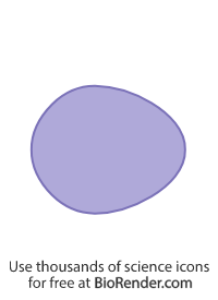 Free Cell shape 1 Icons, Symbols & Images | BioRender
