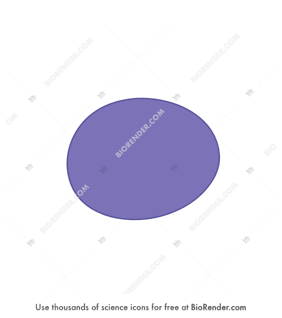 Free Nucleus shape 6 Icons, Symbols & Images | BioRender