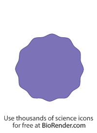 Free Nucleus shape 4 Icons, Symbols & Images | BioRender