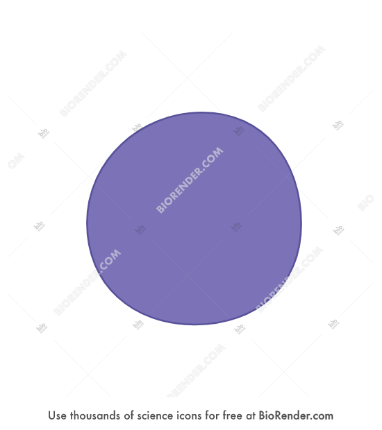 Free Nucleus shape 3 Icons, Symbols & Images | BioRender