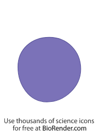 Free Nucleus shape 2 Icons, Symbols & Images | BioRender