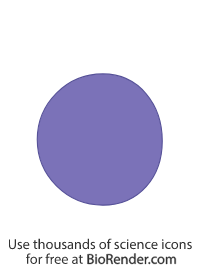 Free Nucleus shape 1 Icons, Symbols & Images | BioRender