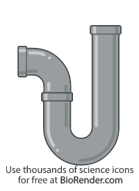 Free Pipe (trap) Icons, Symbols & Images | BioRender