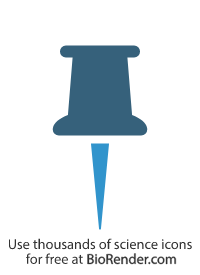 Free Thumb tack Icons, Symbols & Images | BioRender