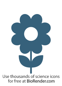 Free Flower (symbol, with stem) Icons, Symbols & Images | BioRender