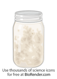 Free Liquid culture (in jar) Icons, Symbols & Images | BioRender