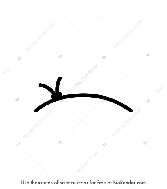 Free Surgical suture (interrupted, curved) Icons, Symbols & Images ...