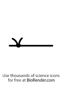 Free Hemodialysis filter Icons, Symbols & Images | BioRender