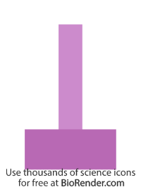 Free RNA nucleotide Icons, Symbols & Images | BioRender