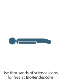 Free Person lying down Icons, Symbols & Images | BioRender