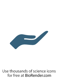 Free Hand (palm up, symbol) Icons, Symbols & Images | BioRender