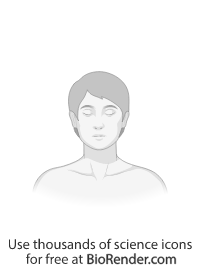 Free Gender-neutral adult head (anterior) Icons, Symbols & Images ...