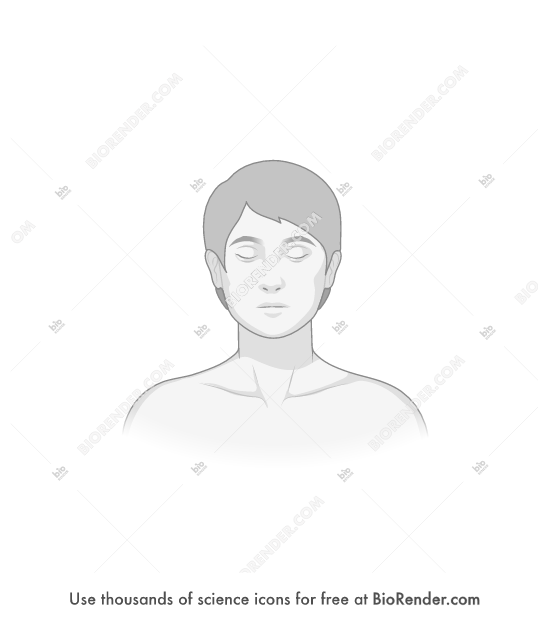 Free Gender-neutral adult head (anterior) Icons, Symbols & Images ...