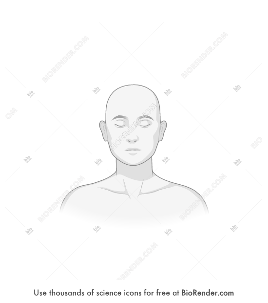 Free Gender neutral adult (head, anterior, hairless) Icons, Symbols ...