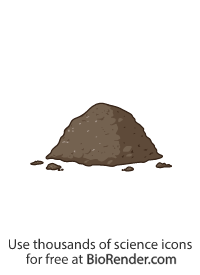 Free Soil sample Icons, Symbols & Images | BioRender
