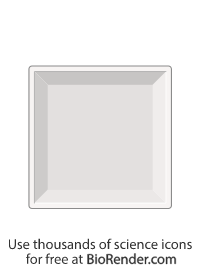 Free Plastic bin (top-view 1) Icons, Symbols & Images | BioRender