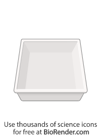 Free Plastic bin (top-view 2) Icons, Symbols & Images | BioRender