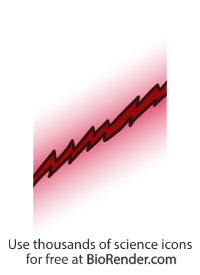 Free Fracture line (oblique) Icons, Symbols & Images | BioRender