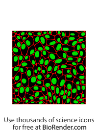 Free Cell imaging (fluorescent dye) Icons, Symbols & Images | BioRender