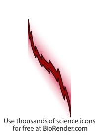 Free Fracture line (spiral) Icons, Symbols & Images | BioRender