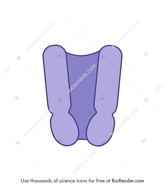 Free ABC transporter (open 1) Icons, Symbols & Images | BioRender