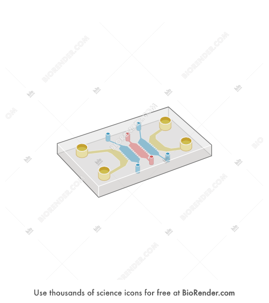 Free Microfluidic device (multi-chamber) Icons, Symbols & Images ...