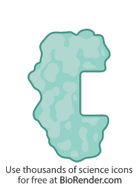 Free D-domain (square binding site) Icons, Symbols & Images | BioRender