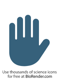 Free Hand (symbol) Icons, Symbols & Images | BioRender