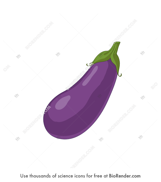 Free Eggplant Icons Symbols Images BioRender Free Eggplant Icons Symbols Images BioRender