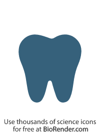 Free Tooth (symbol) Icons, Symbols & Images | BioRender