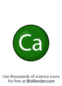 Free Element, Calcium Icons, Symbols & Images | BioRender
