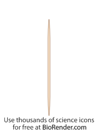 Free Toothpick Icons, Symbols & Images | BioRender