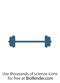 Free Barbell (symbol) Icons, Symbols & Images | BioRender