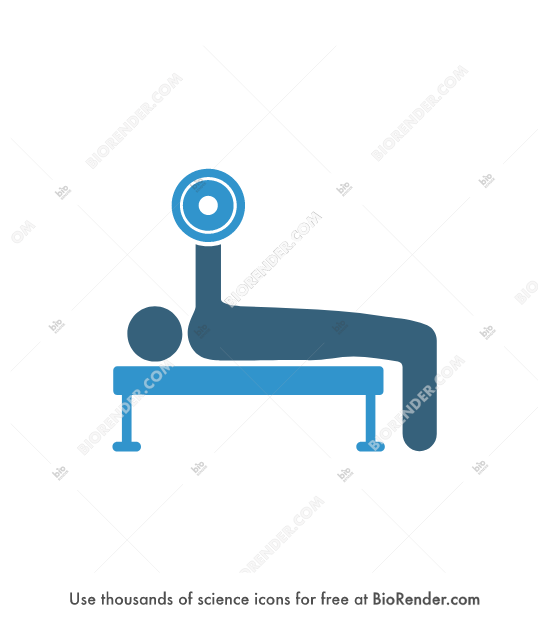 Free Lifting weights (symbol, bench press) Icons, Symbols & Images ...