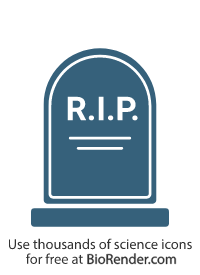 Free Headstone 2 (symbol) Icons, Symbols & Images | BioRender