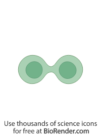 Free Platelet Icons, Symbols & Images | BioRender