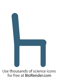 Free Chair (symbol) Icons, Symbols & Images | BioRender